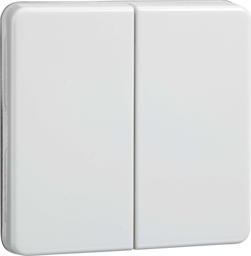 Elso Wippe rw Serie u.Doppeltaster 233504 - 233504 | 30186537