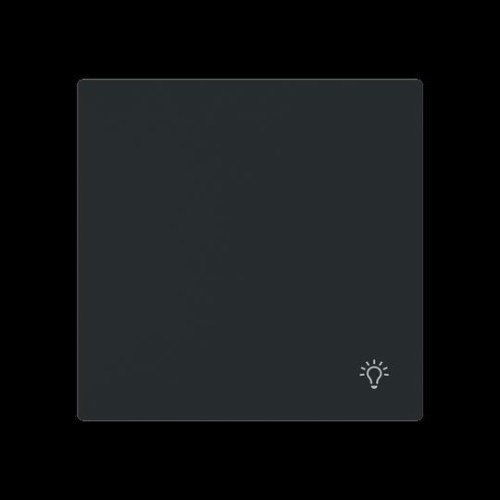 Busch-Jaeger Wippe geschlossen m. Symb. Licht 2520 LI-45M ...