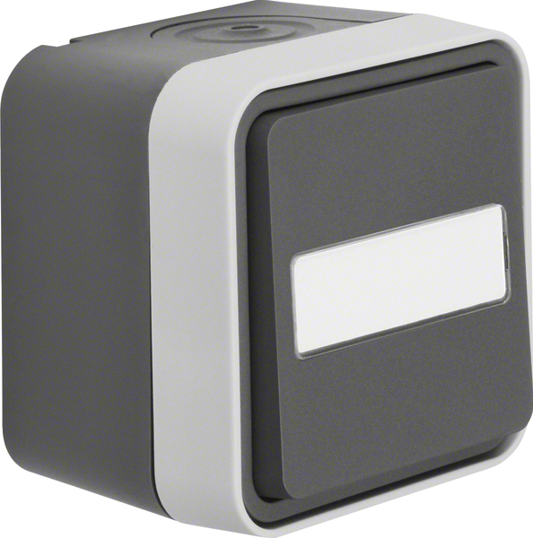 Berker Taster Wechsler lichtgrau 50763555